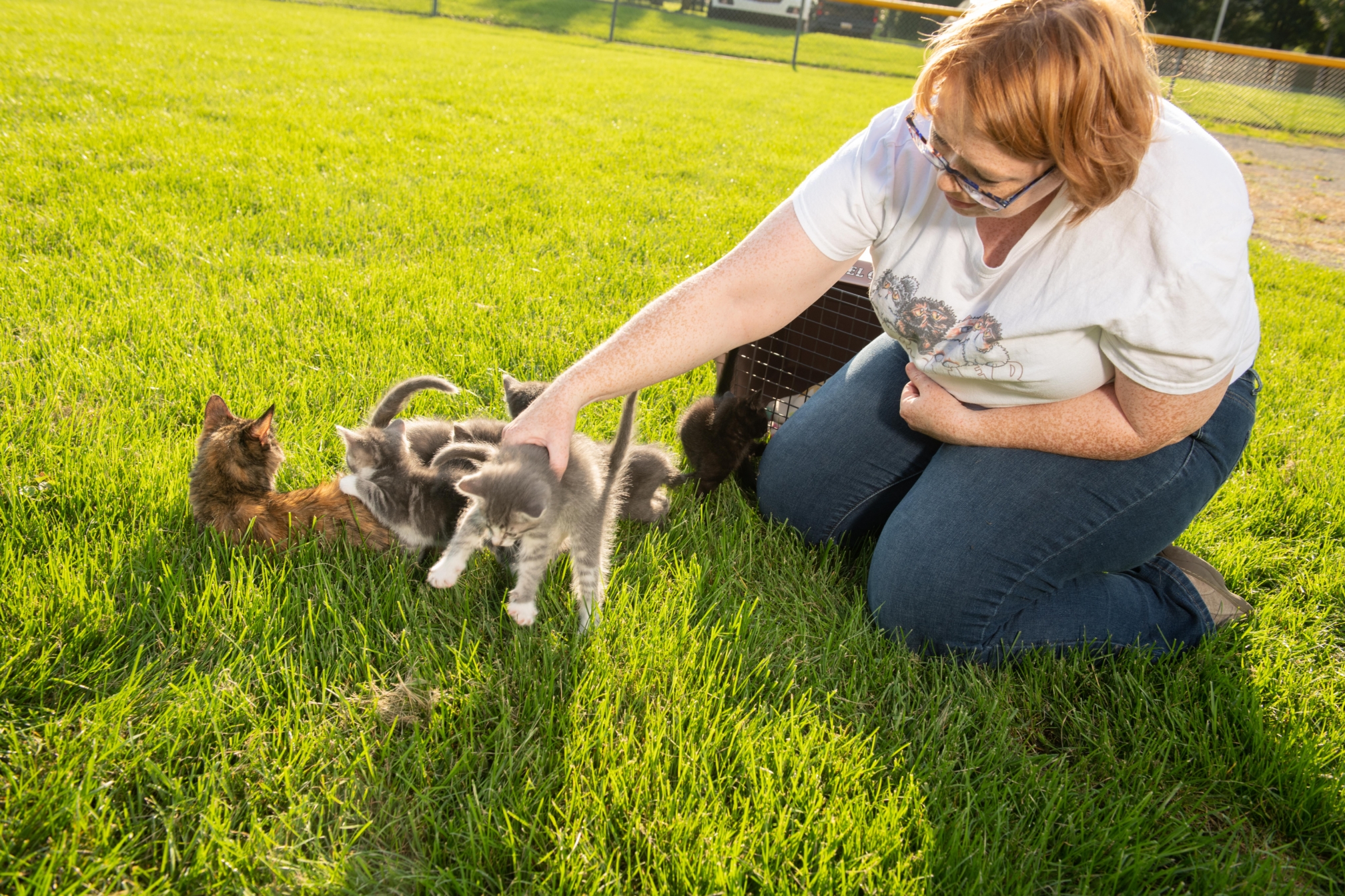 Volunteer Jobs – Humane Society of Genesee County