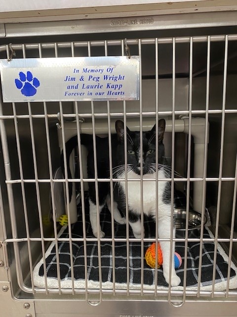 Sponsor a Cage – Humane Society of Genesee County